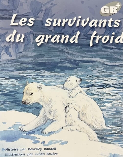 Les survivants du grand froid - Librairie Stephan
